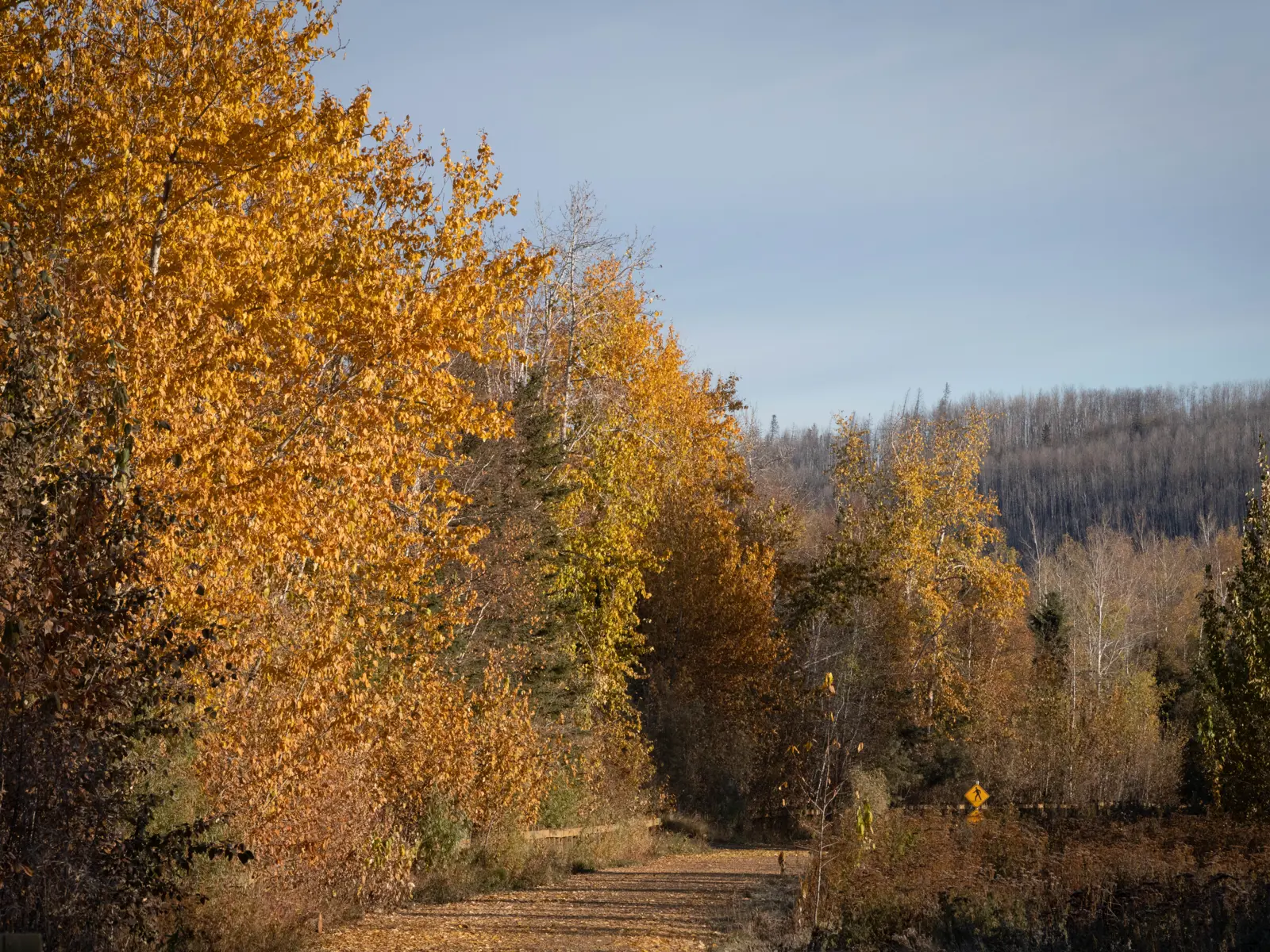 Municipal Development Plan | Regional Municipality of Wood Buffalo