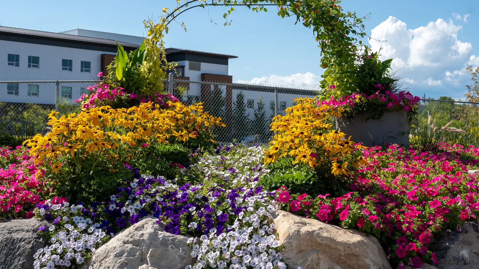 Home | Regional Municipality of Wood Buffalo